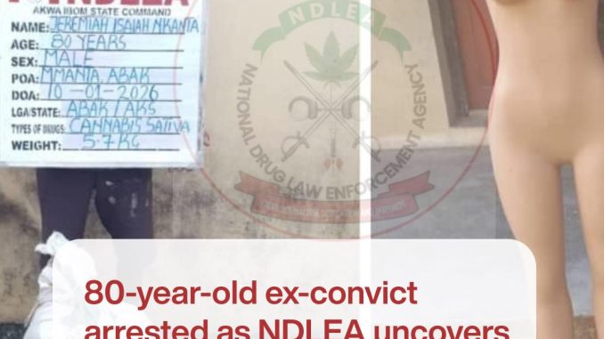 80-Year-Old Ex-Convict Arrested As NDLEA Uncovers Illicit Drugs In Full ...